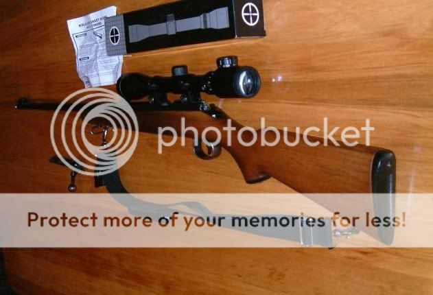 Truck Gun Build - Norinco JW15 | Rimfire Central Firearm Forum